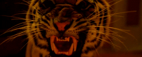 Animated Tiger Roaring Gif