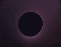 Escape-plan GIFs - Get the best GIF on GIPHY