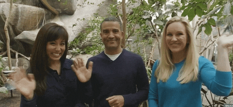 Clue-crew GIFs - Get the best GIF on GIPHY