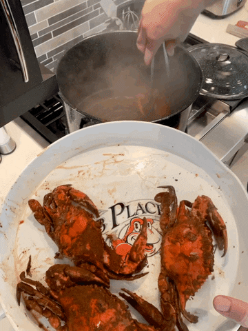 Crab Pots GIFs - Get the best GIF on GIPHY