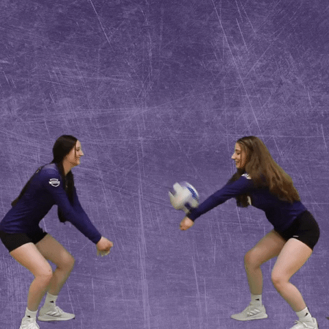 2021 Volleyball GIFs on GIPHY - Be Animated