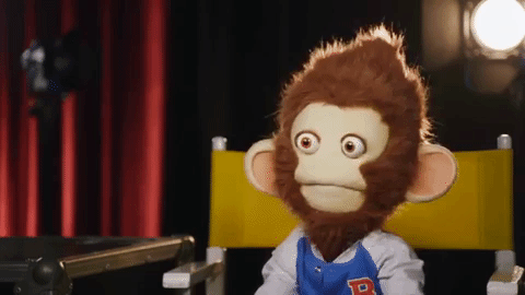 Drunk-monkey GIFs - Get the best GIF on GIPHY