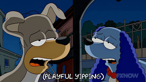 Dog Homer Simpson GIFs - Get the best GIF on GIPHY