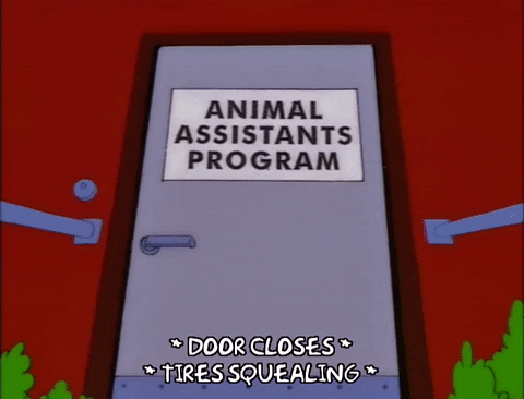 Animation-assist GIFs - Get the best GIF on GIPHY