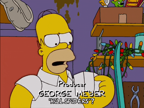 Killing Spiders Cartoon