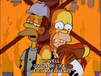 Circle Of Life Lion King Gif