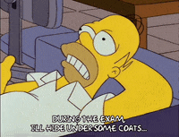 Homer Simpson Hide GIFs - Find & Share on GIPHY