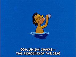Shark Attack GIFs - Find & Share on GIPHY