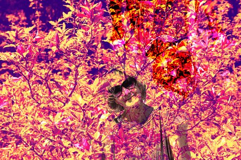 GIFs on GIPHY - Be Animated