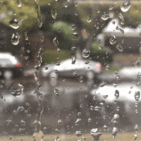 Window Rain Gif