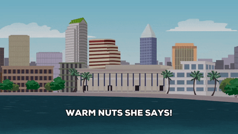 Florida Cityscape GIFs - Get the best GIF on GIPHY