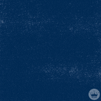 Modern Muzzleloader Muzzleloading Forum