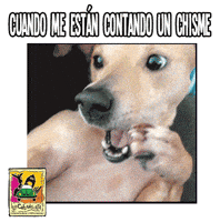 Contando Gif Tumblr Tiele Pietra (@tielepietra) Contando Minha