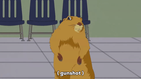 Dog Explode GIF by South Park - Find & Share on GIPHY
