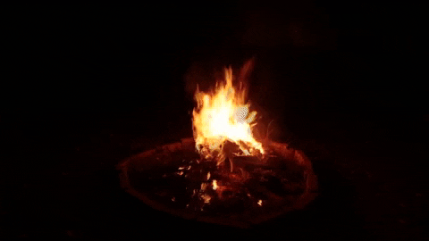 Fire Burn GIF by Quote Catalog - Find & Share on GIPHY