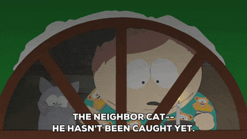 Mr. Kitty GIFs on GIPHY - Be Animated