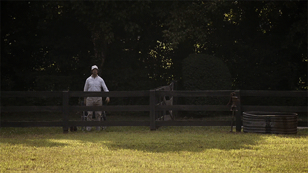 Tbs GIF by The Detour - Find & Share on GIPHY