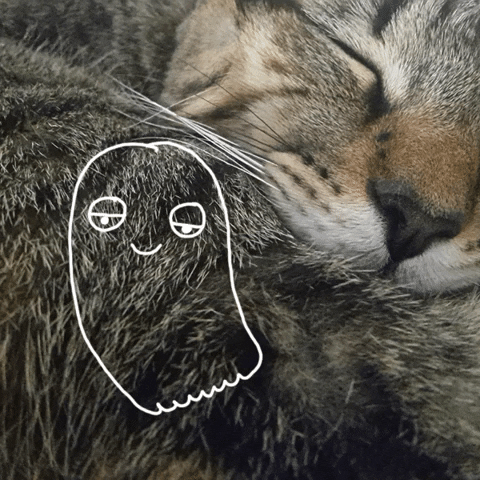 Fresh Stay GIFs - Get the best GIF on GIPHY