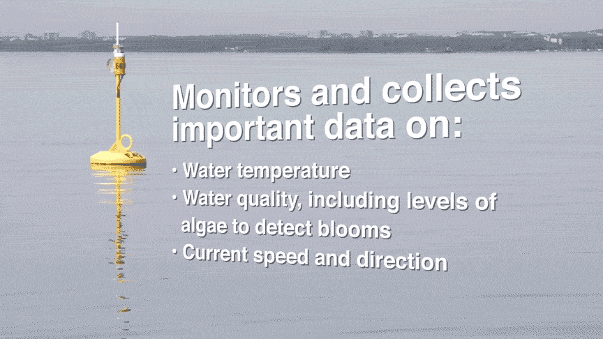 Important-data GIFs - Get the best GIF on GIPHY