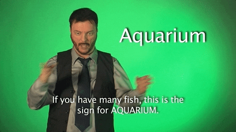 Many Fish GIFs - Get the best GIF on GIPHY