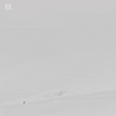 Santa Skiing GIFs - Get the best GIF on GIPHY