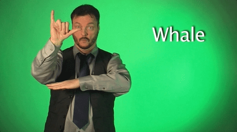 Sign Language Whale GIF by Sign with Robert - Find & Share on GIPHY