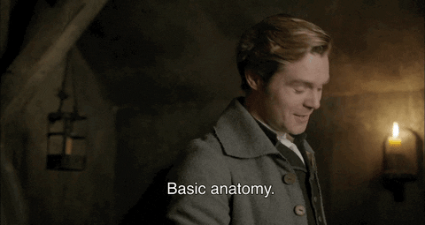Basic Anatomy GIFs - Get the best GIF on GIPHY