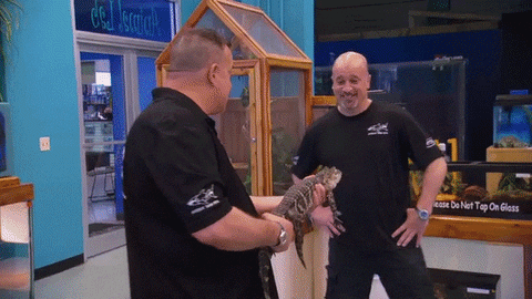 Uss Mohawk GIFs - Get the best GIF on GIPHY