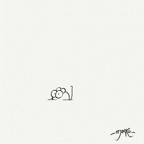 Cat Eating GIF by marko - Find & Share on GIPHY