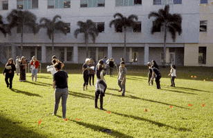 Sampling GIFs - Find & Share on GIPHY