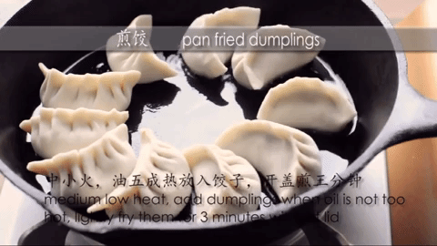 Fried Dumplings GIFs - Get the best GIF on GIPHY