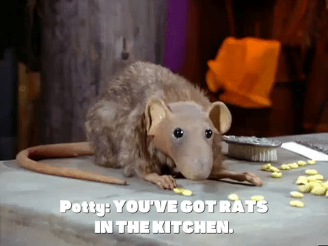 Rats-in-the-kitchen GIFs - Get the best GIF on GIPHY