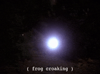 Frog Croaking Gif