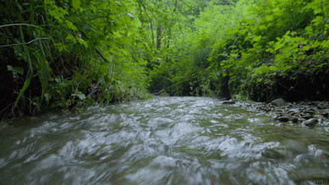 Flowing River Gif