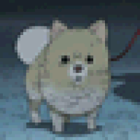 Buff Doge GIFs - Find & Share on GIPHY