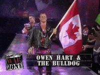 Owen Hart Fall Gif