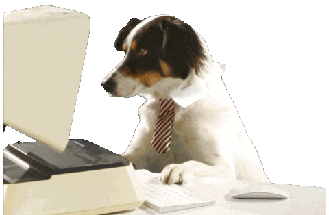 Dog Computer Gif