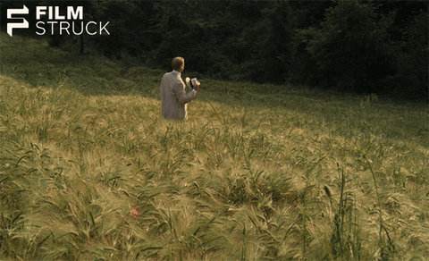 A Room With A View GIFs - Get the best GIF on GIPHY