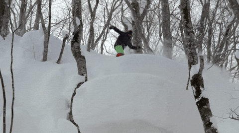 Snowboarding Panda GIFs - Get the best GIF on GIPHY