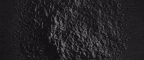 New Soul GIFs - Get the best GIF on GIPHY