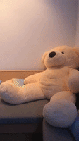 - Find & Share on GIPHY