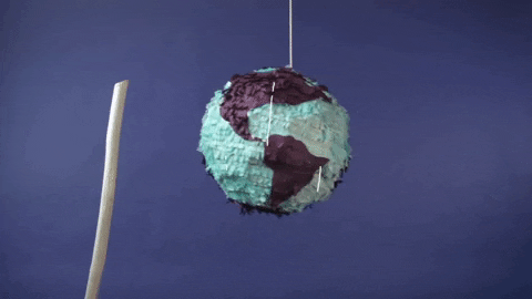 Eating-out-of-the-garbage GIFs - Get the best GIF on GIPHY