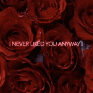 I Never Liked You GIFs - Get the best GIF on GIPHY