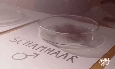 Schamhaar GIFs - Get the best GIF on GIPHY