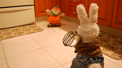 Bunny Cooking GIF by Zackary Rabbit - Find & Share on GIPHY