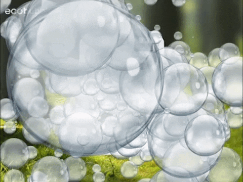 Soap Bubbles Gif
