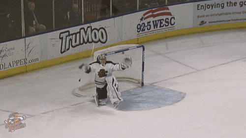 Hockey Celebrate GIF by Greenville Swamp Rabbits - Find & Share on GIPHY