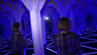 Numbers In Nature A Mirror Maze Museum Of Science And