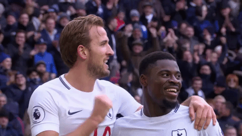 London Football GIF by Tottenham Hotspur - Find & Share on GIPHY