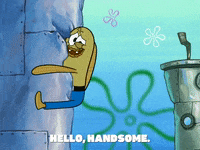 Hello Handsome Gif